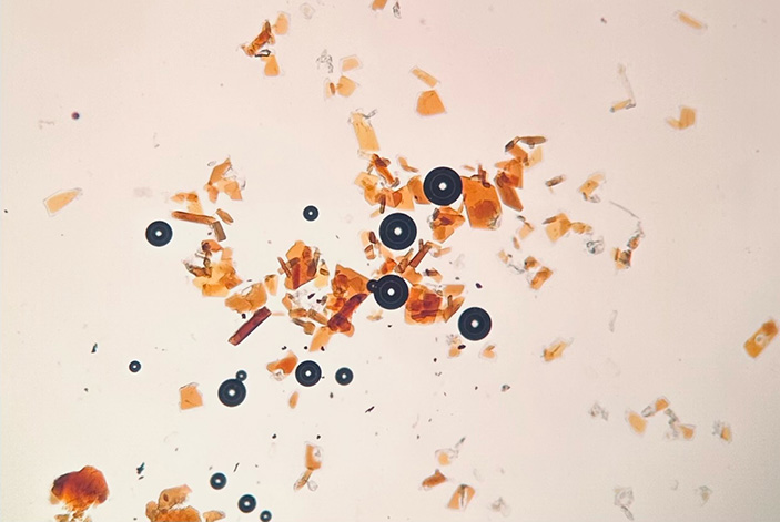 Calling All Scientists! Share Your Research Photos – Elements for ...